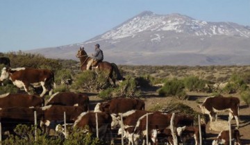 veranada | Supercampo