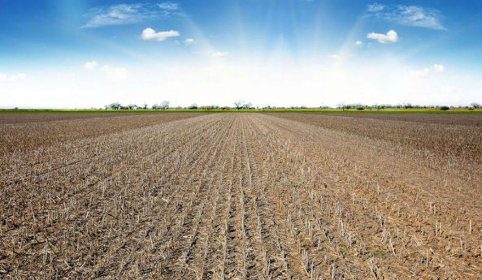 Buen barbecho usando bien el herbicida | Supercampo
