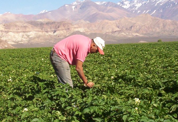 Inmuebles rurales | Supercampo