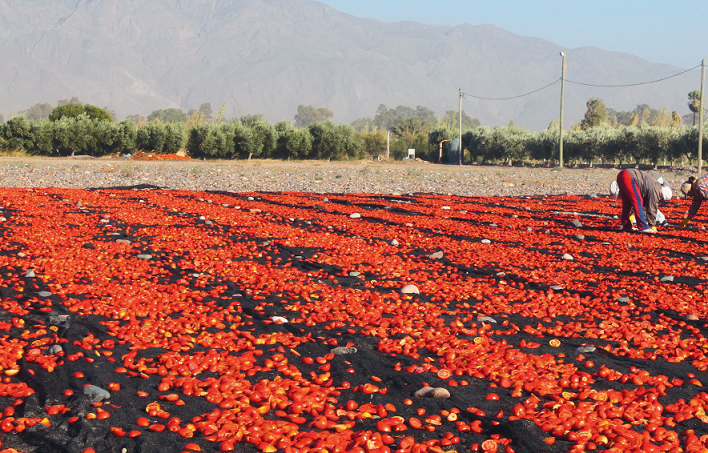 Disecado: Secar al Sol de los Andes | Supercampo