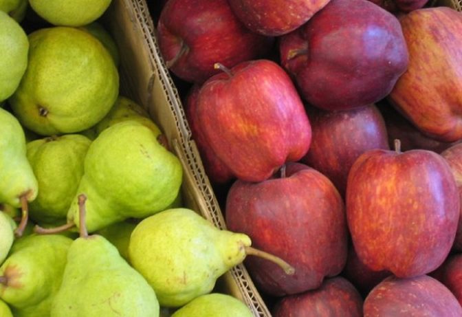 Productores de peras y manzanas comercializarán en forma directa ...